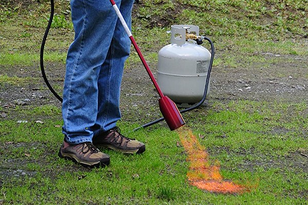 5 Best Weed Torches - Oct. 2023 - BestReviews